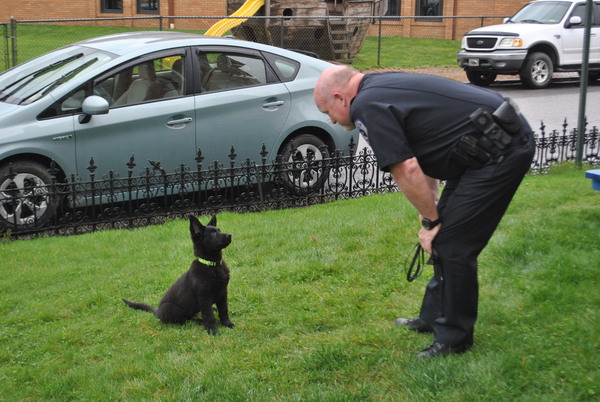 An Officer and a German Shepherd | News, Sports, Jobs - Tyler Star News